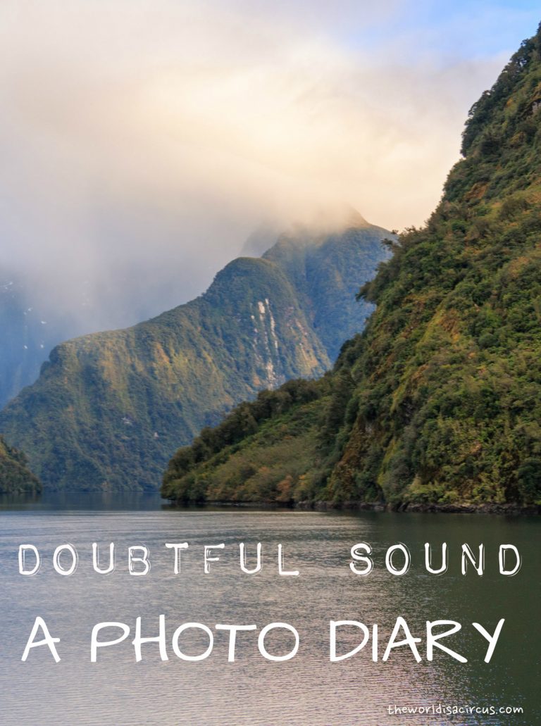 Doubtful Sound: a Photo Diary • The World is a Circus